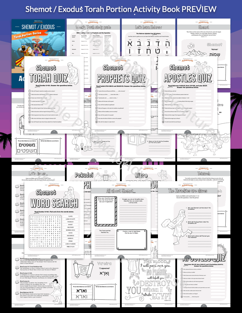 Bereshit | Genesis: Torah Portion Activity Book