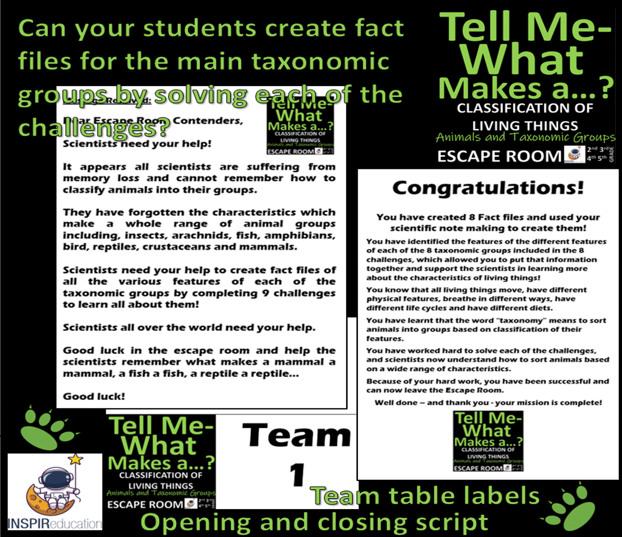 Animal Groups Classification Mega Pack - Amped Up Learning