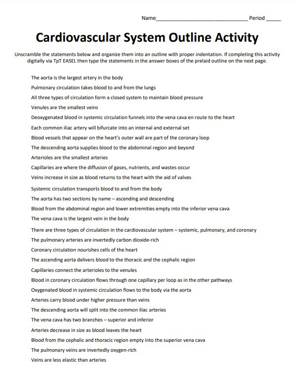 Cardiovascular System Outline Activity