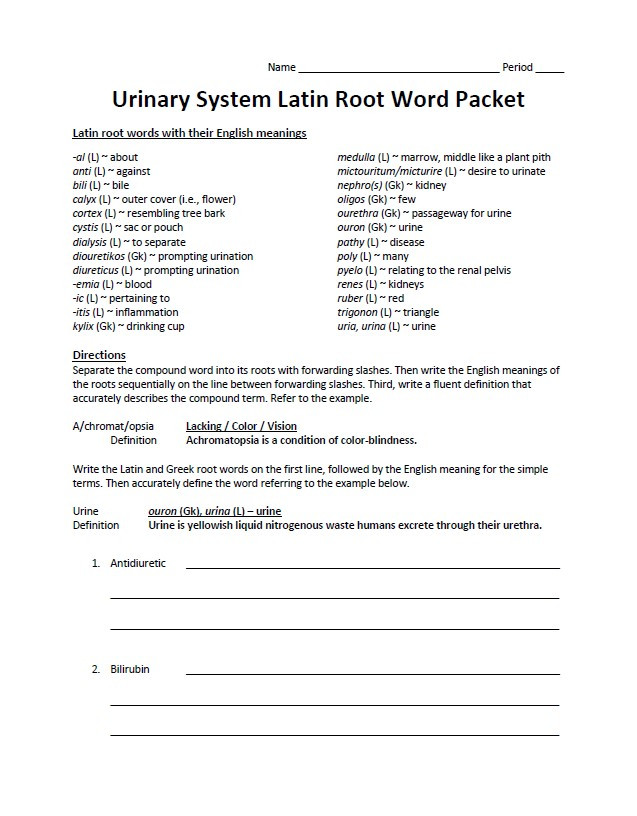 Urinary System Latin Root Word Packet