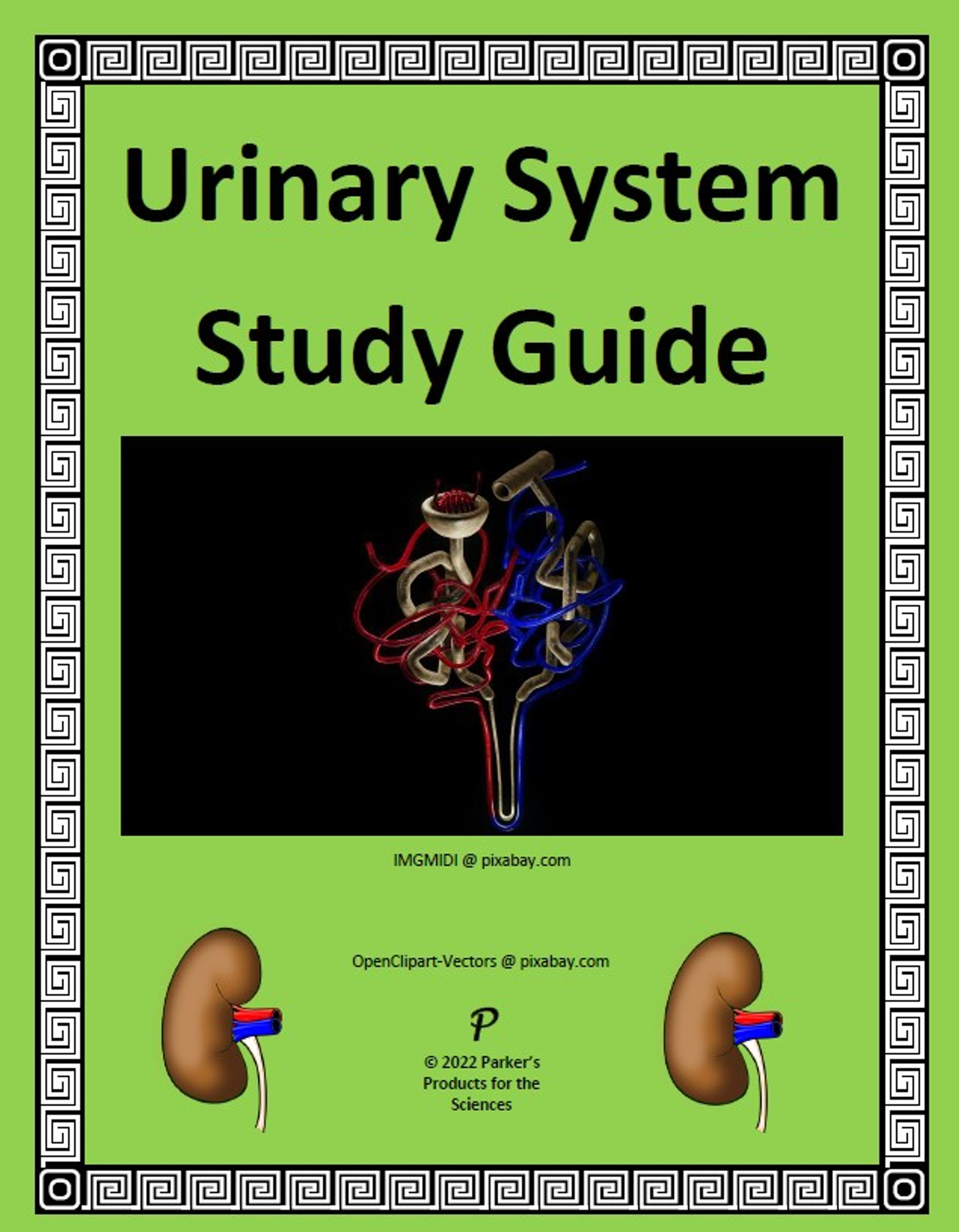 Urinary System Study Guide Packet