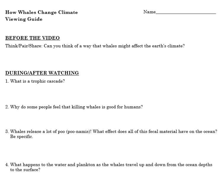 How Whales Change Climate - Amped Up Learning