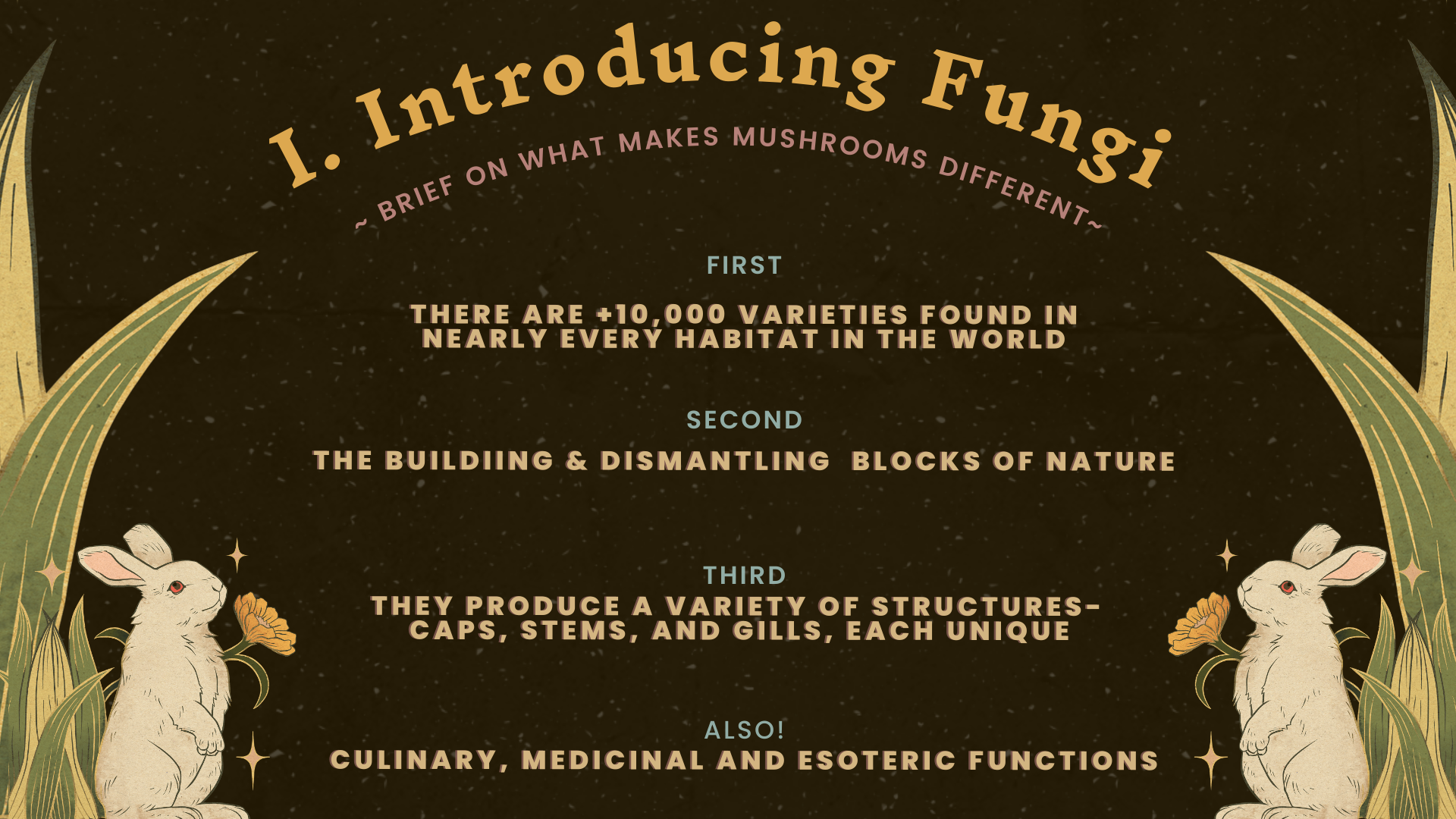 Learn all about Scorpions