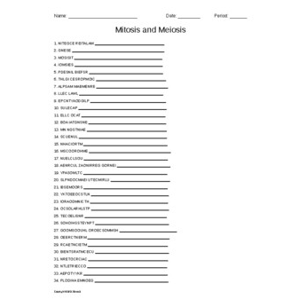 Mitosis Flipbook - Amped Up Learning