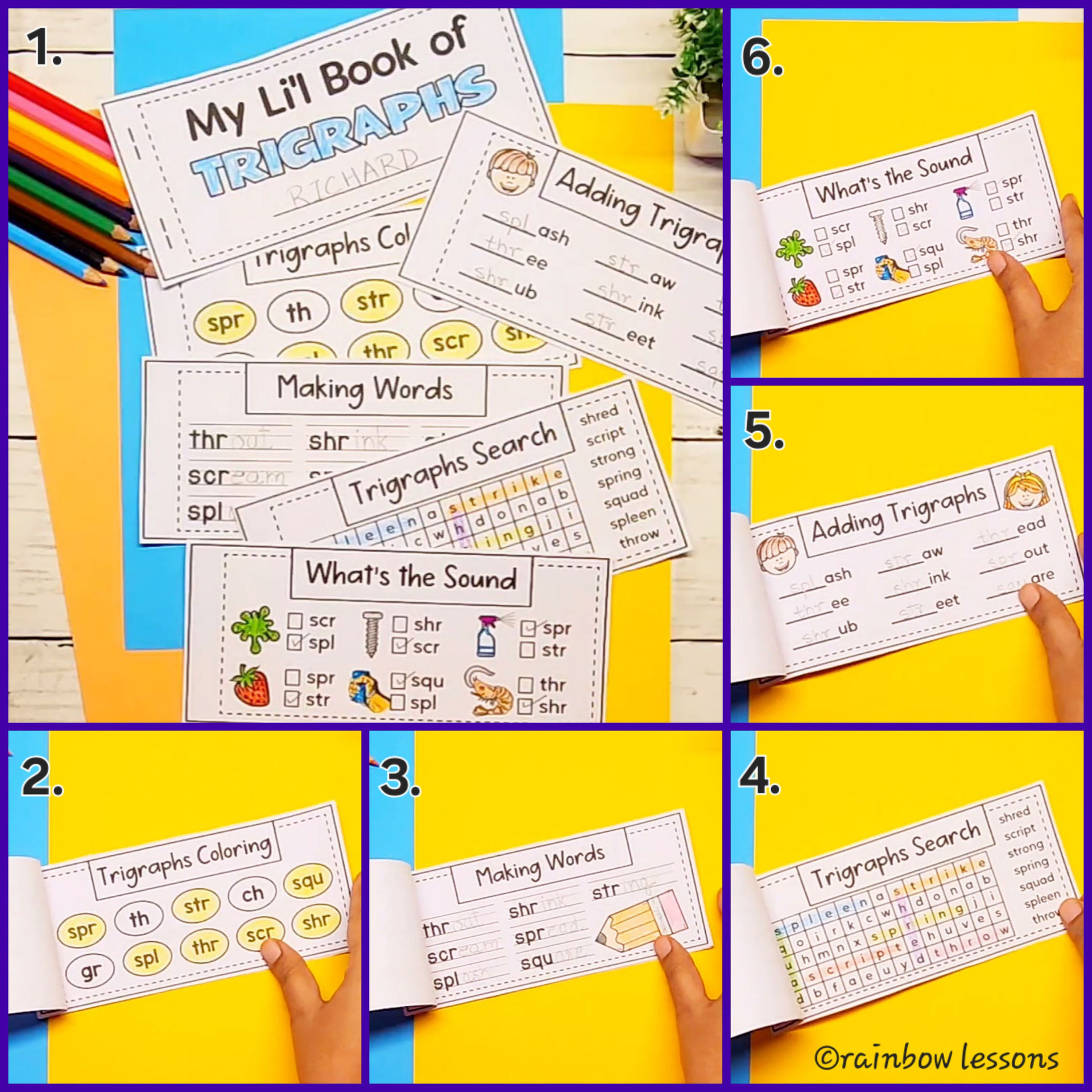 A Plant's Parts Booklet **With Activity Differentiation** - Amped Up ...