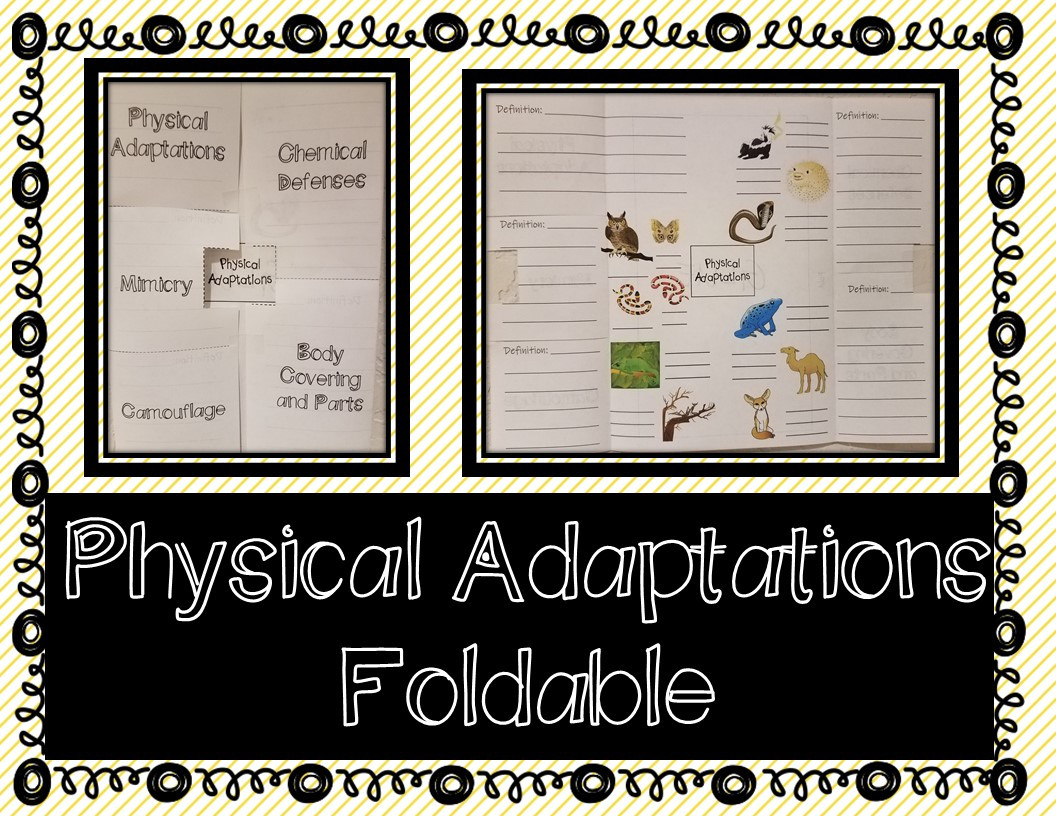 Physical Adaptations In Animals - Interactive Notebook / Foldable ...