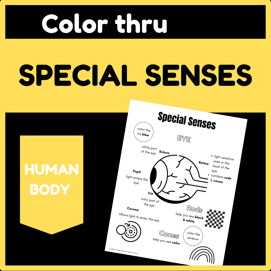 Animal Senses - Amped Up Learning
