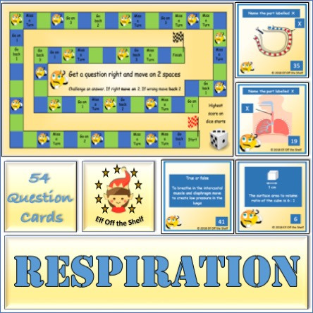 Respiration - 54 Question Board Game - Amped Up Learning