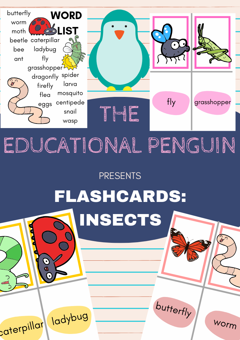 Flashcards: Insects - Amped Up Learning