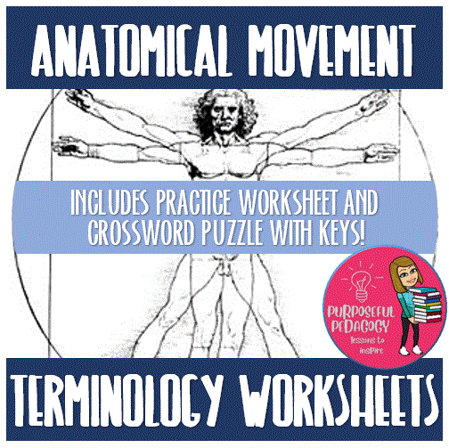 Anatomical Terms Worksheet and Crossword Puzzle! - Amped Up Learning