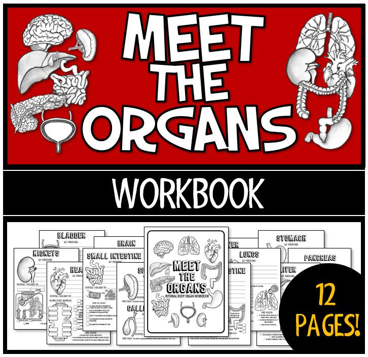"Meet the Organs" workbook- 12 pages! - Amped Up Learning
