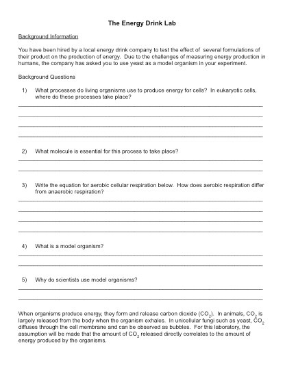 Cellular Respiration Lab - Amped Up Learning