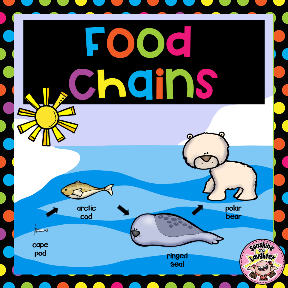 Food Chains