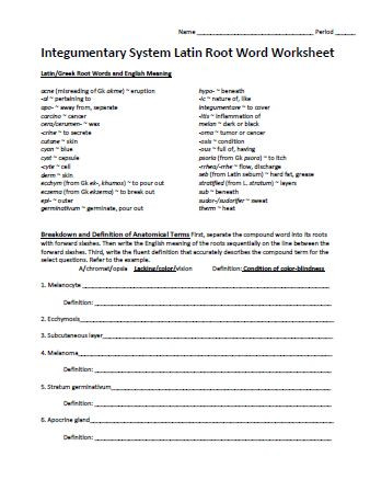 Integumentary System Latin Root Word Worksheet - Amped Up Learning