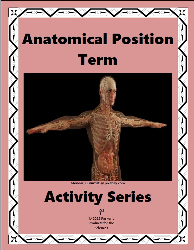 Anatomical Position Term Activity Series - Amped Up Learning