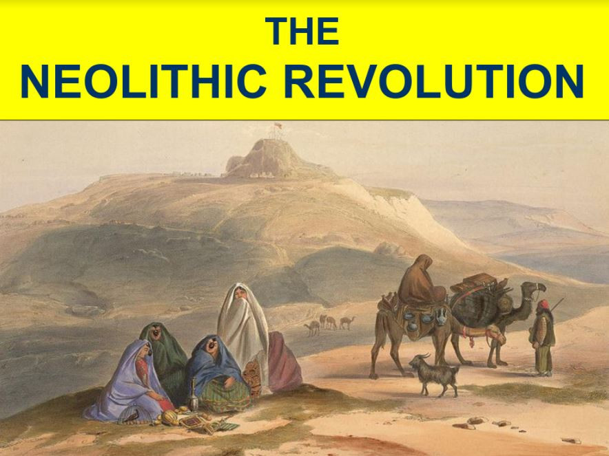 Neolithic Revolution & Rise Of Civilizations - Amped Up Learning