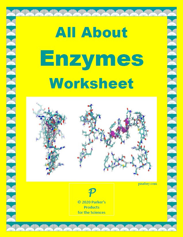 All About Enzymes Worksheet - Amped Up Learning