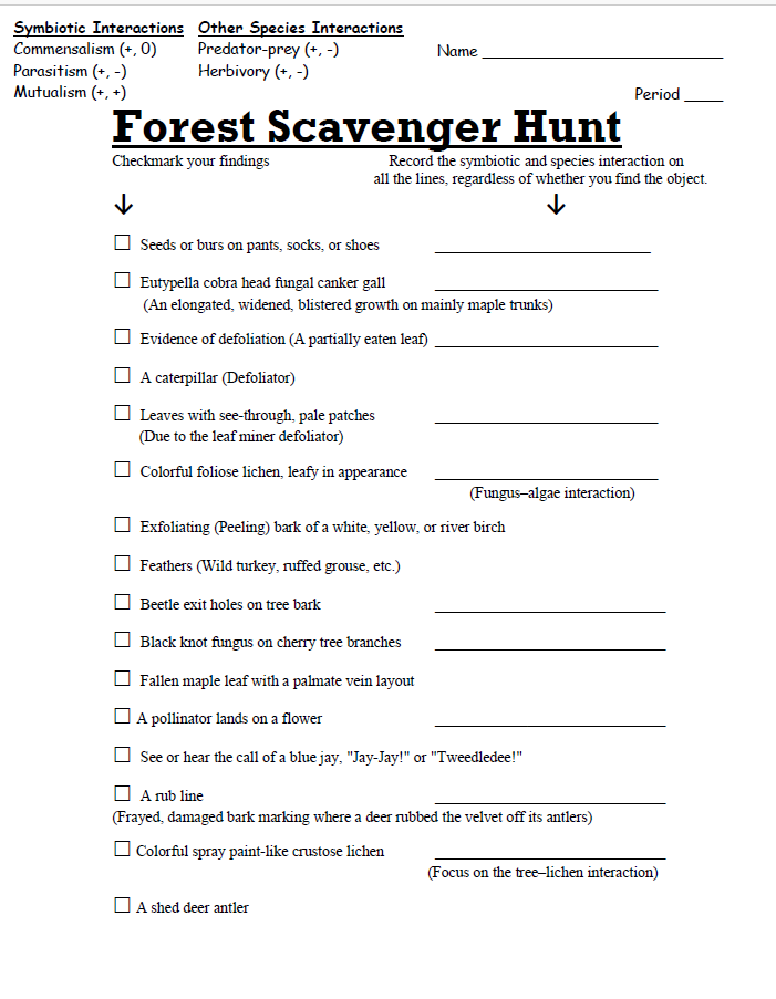Forest Scavenger Hunt - Amped Up Learning