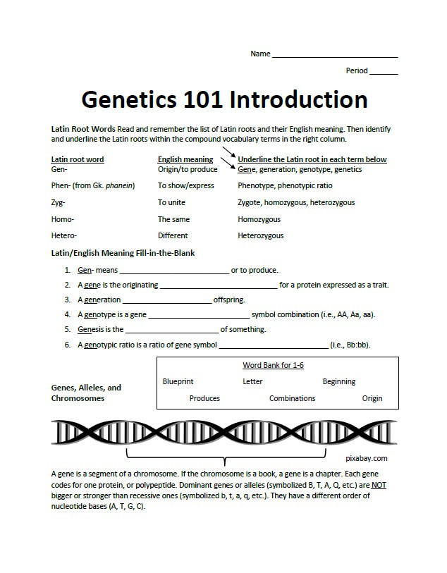 Great Genetics 101 Introduction Lesson - Amped Up Learning