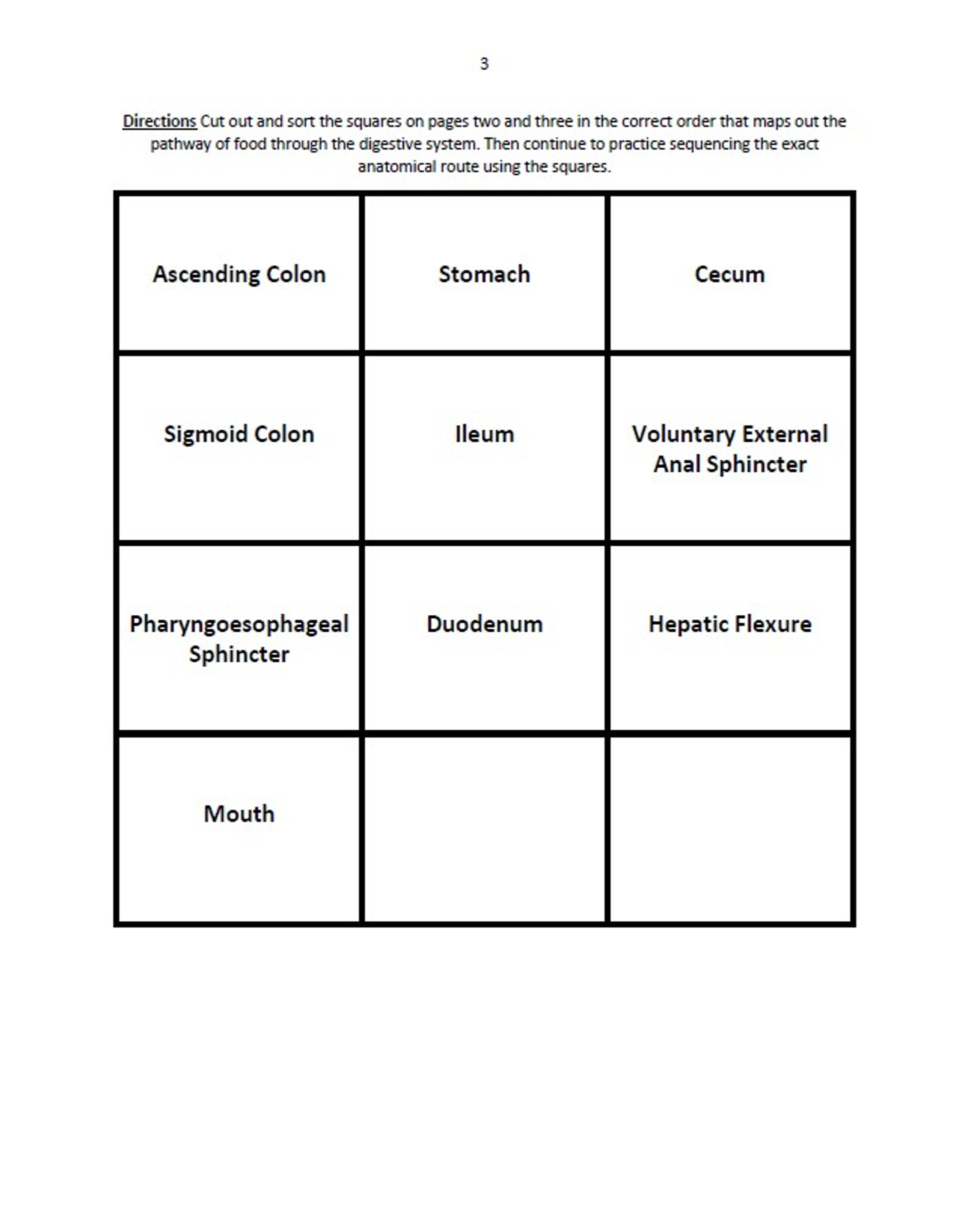 Digestive System Pathway Card Sort Activity - Amped Up Learning