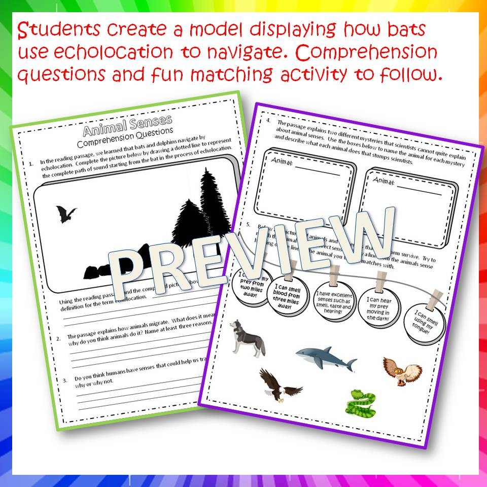 Animal Senses - Amped Up Learning