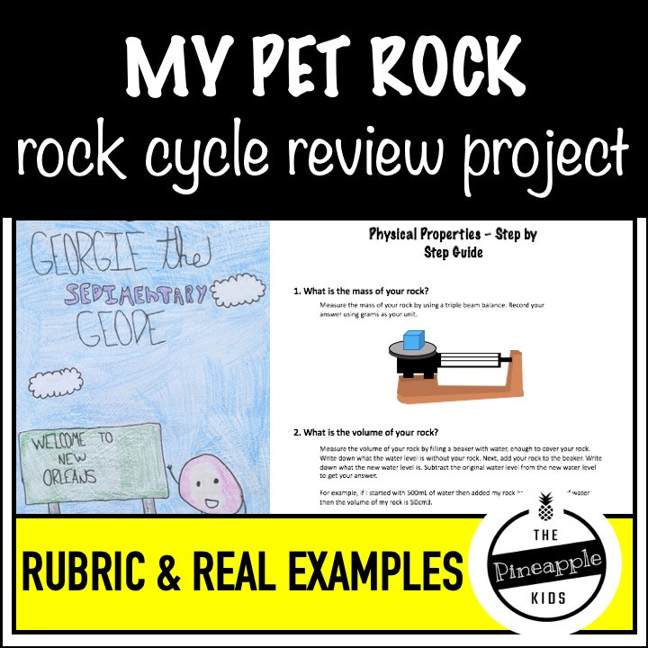 Rock Cycle - My Pet Rock Project