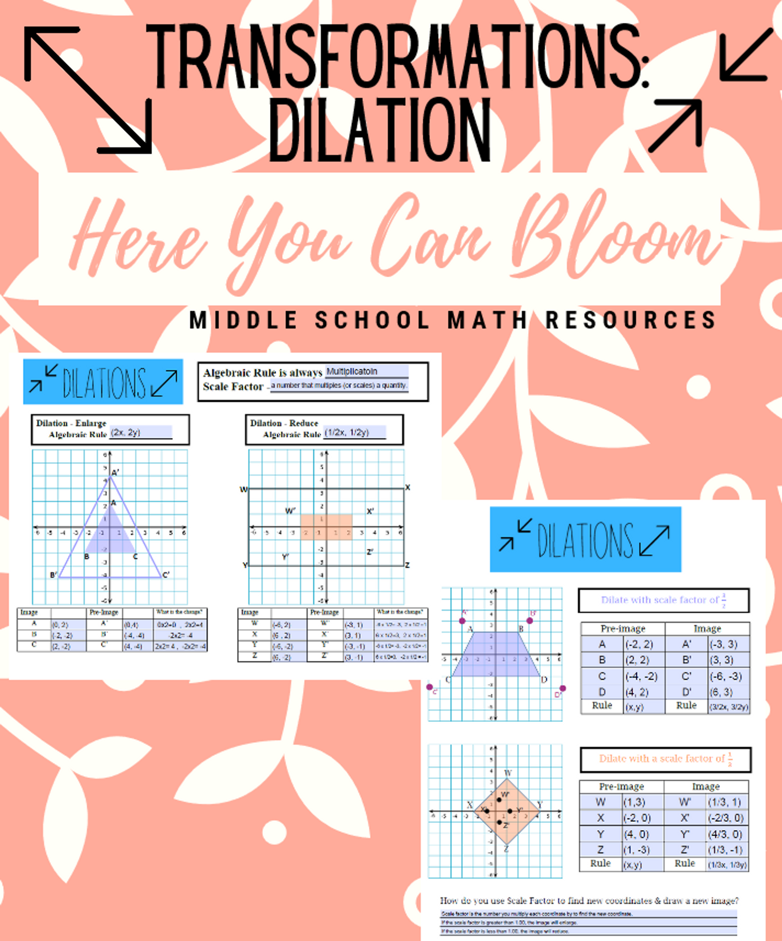 Dilations Editable Notes - Interactive