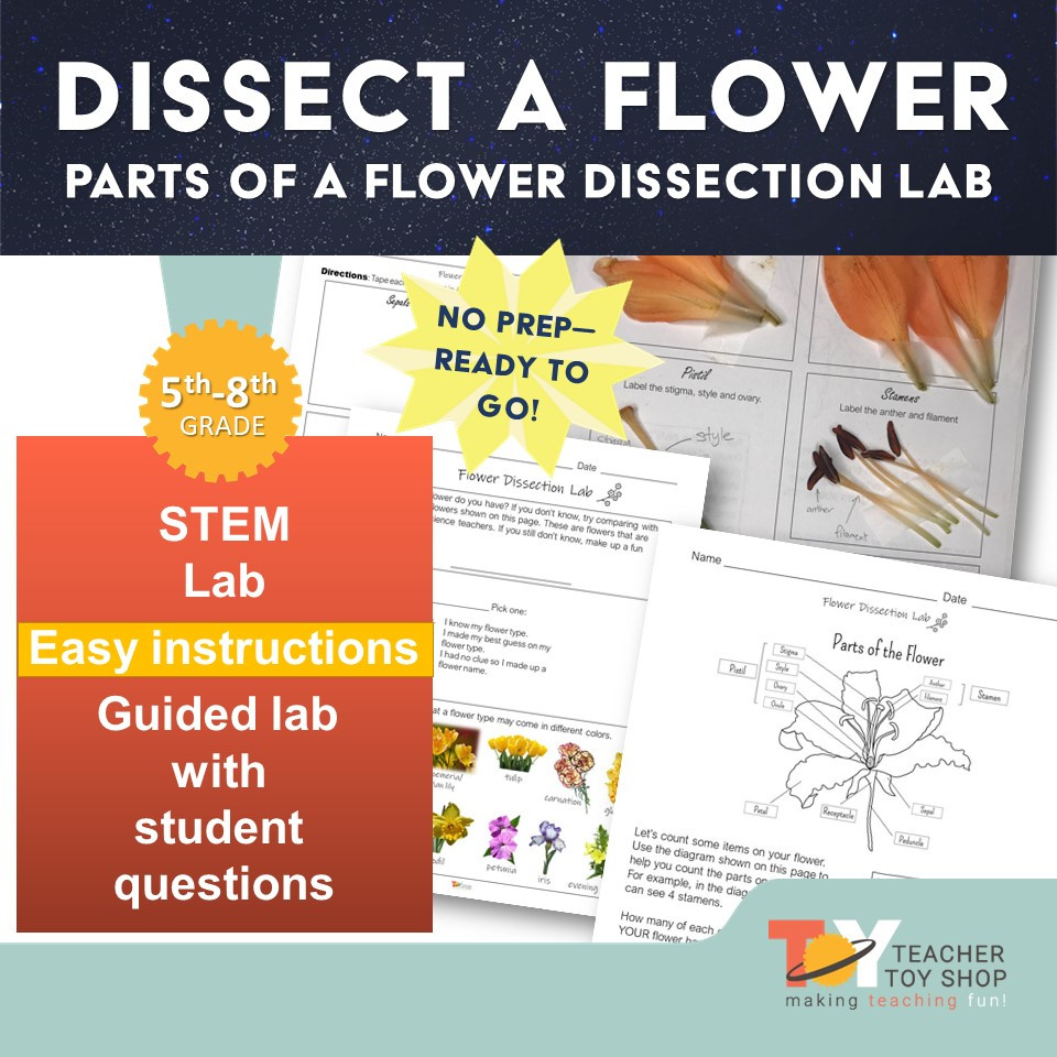 Parts of a Flower Dissection Science Lab