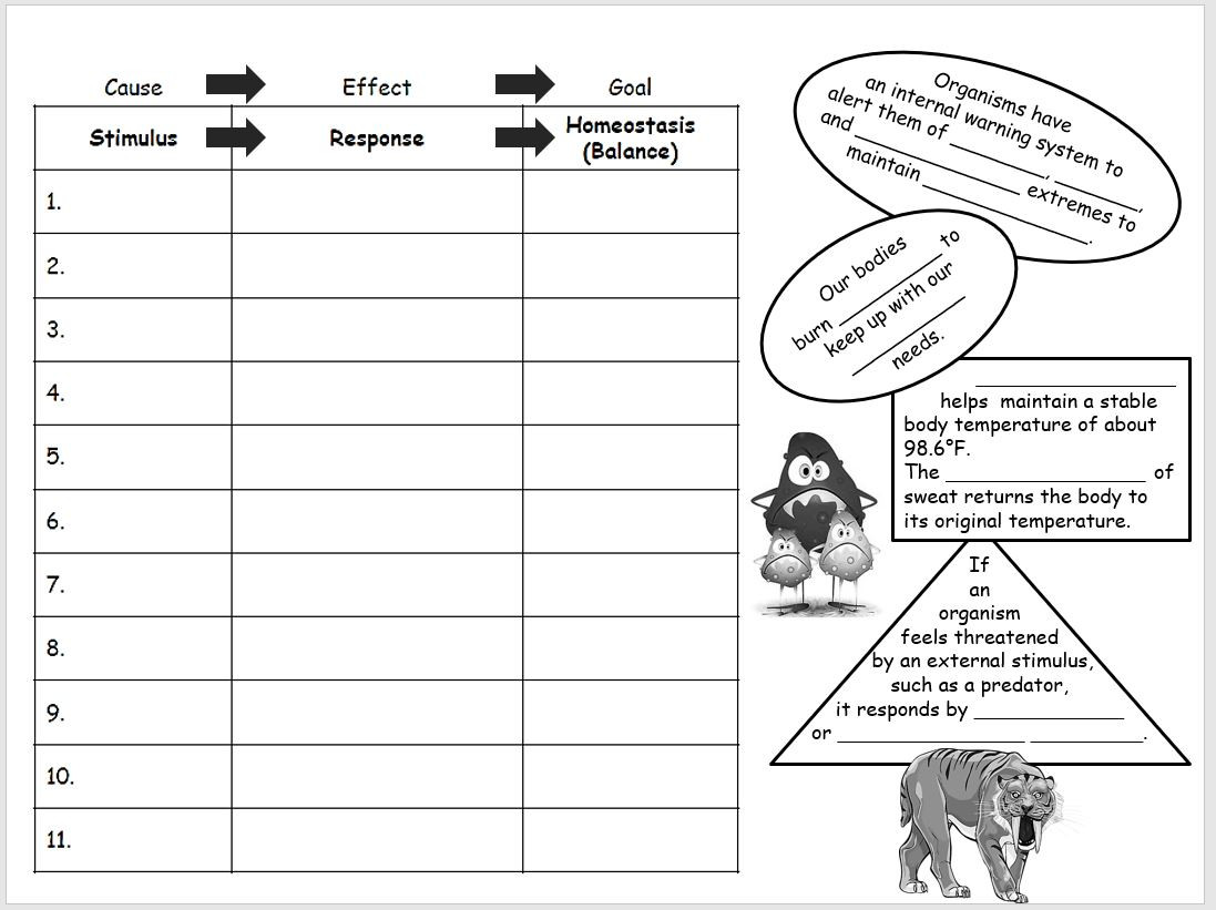 Homeostasis - Amped Up Learning