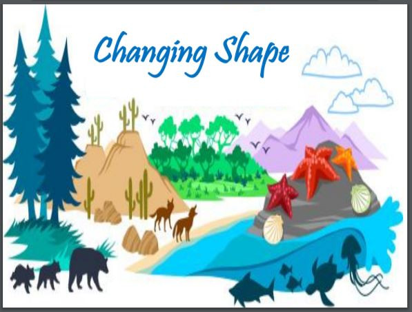 Adaptations: Changing Shape - Amped Up Learning