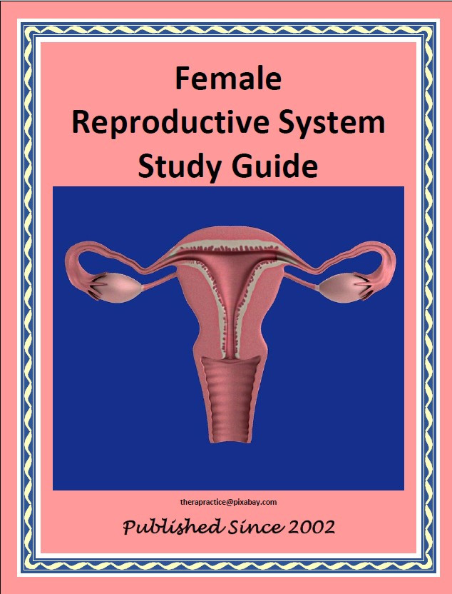 Female Reproductive System Study Guide