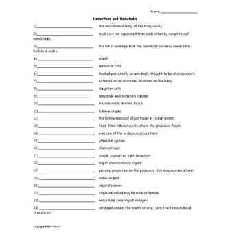 Invertebrate Biology Vocabulary Review Quiz or Worksheet Bundle - Amped ...