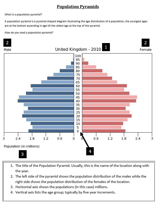 Population Pyramids Lesson and Activity - Amped Up Learning