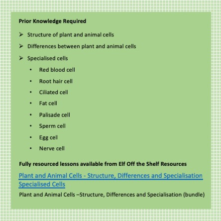 Plant and Animal Cells - Structure, Differences and Specialisation ...