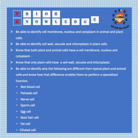 Plant and Animal Cells - Review Game - Amped Up Learning