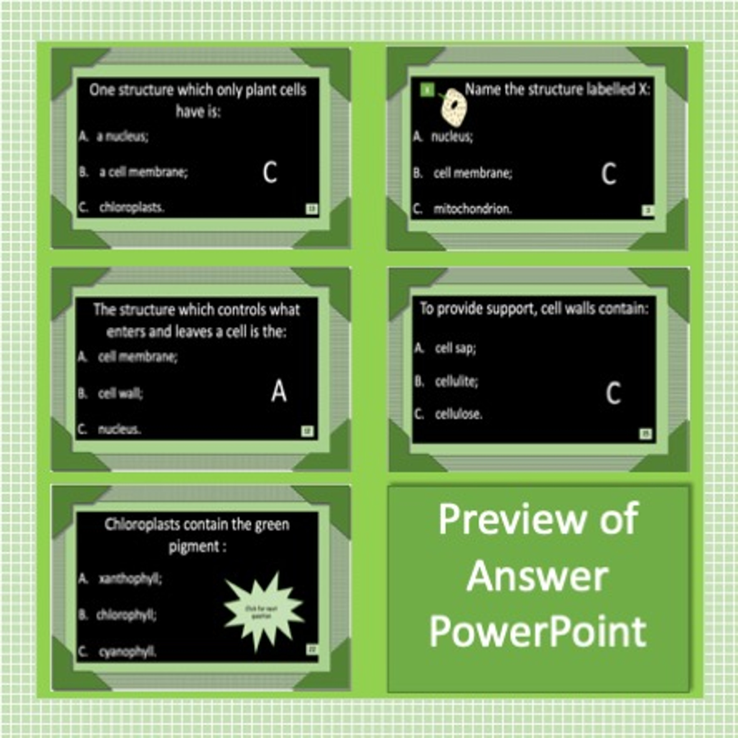 Plant and Animal Cells - 42 Question Card Sort Team Game - FREE - Amped ...