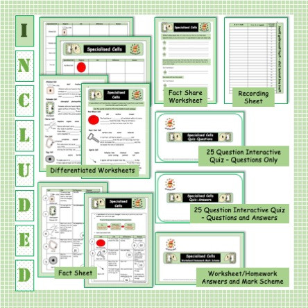 Specialized Cells - Review Activity - Amped Up Learning