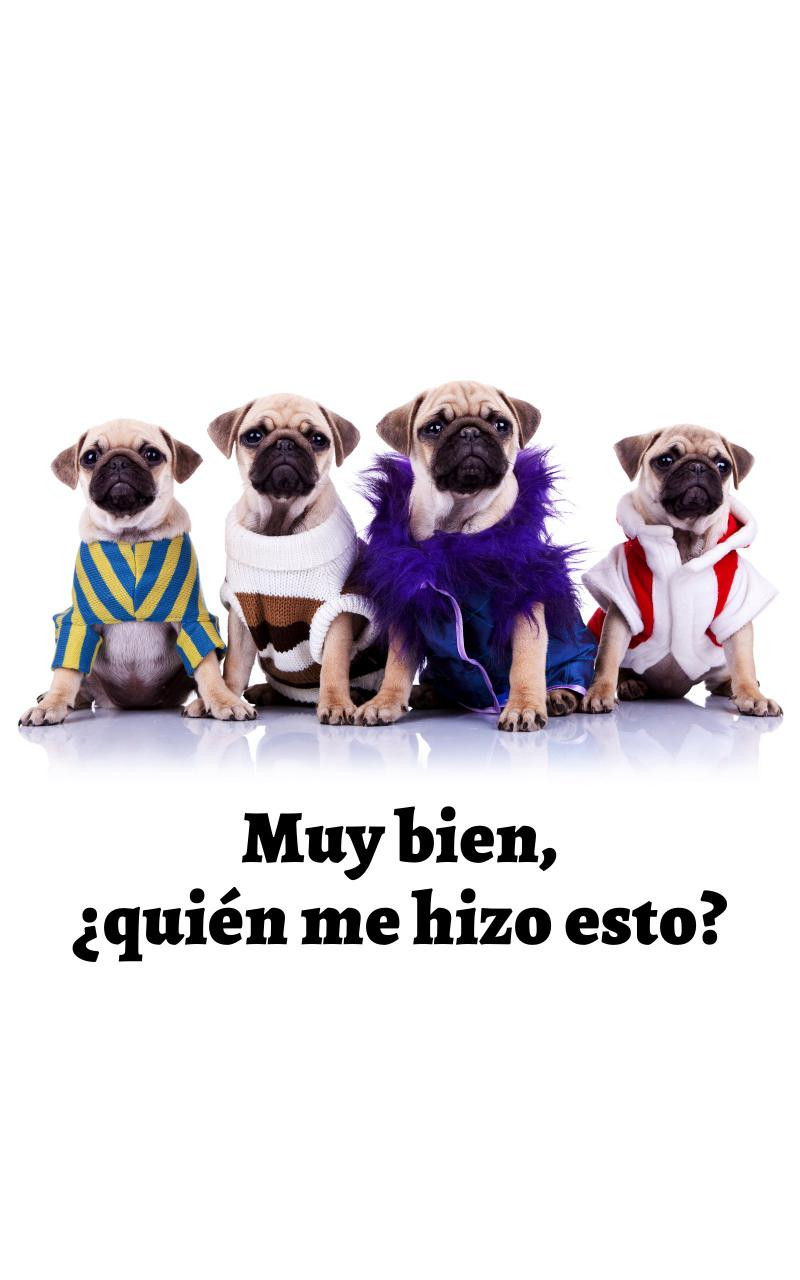 Adorable Dogs: Pugs - Amped Up Learning