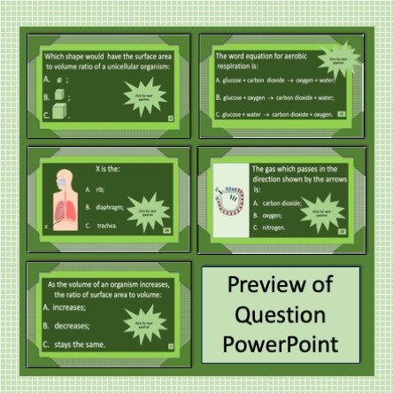 Specialized Cells - Review Activity - Amped Up Learning