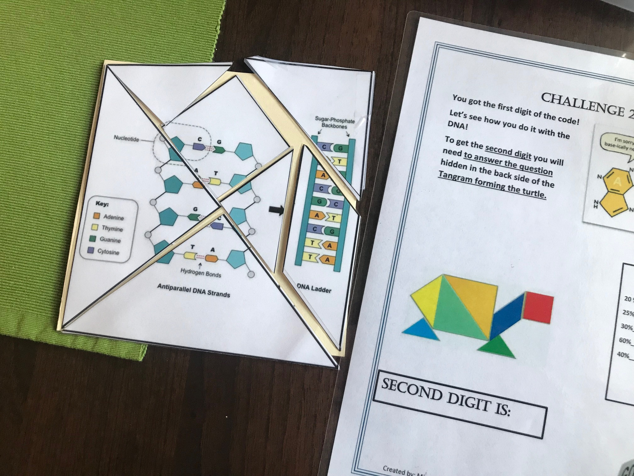 Biology EOC Review ESCAPE ROOM (Box 3) - Amped Up Learning