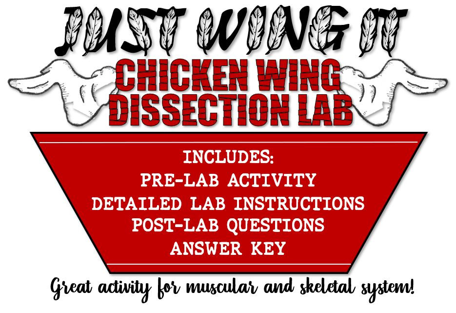 Just Wing It! Chicken Wing Dissection Lab- Muscular and Skeletal ...