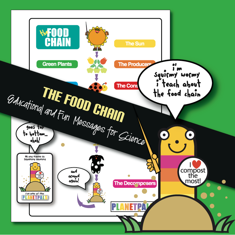 Food Chain Lesson Earth Science Poster Classroom Bulletin Board - Amped ...