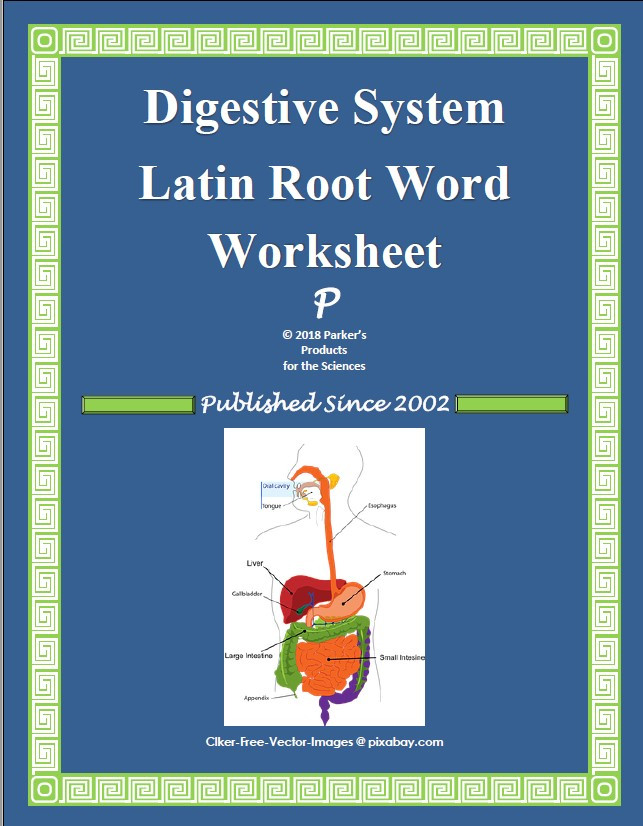 Digestive System Unit Latin Root Word Worksheet - Amped Up Learning