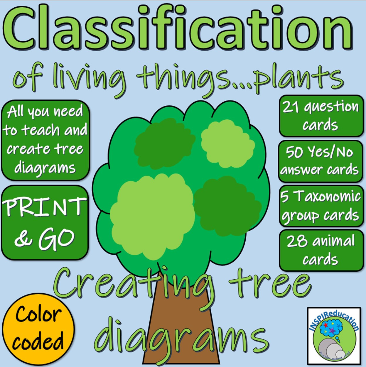 Classification of Green Plants - Decision Trees (Yes/No) Questions ...