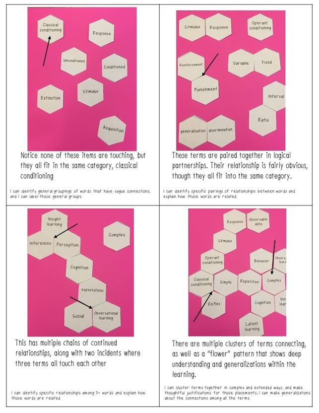 Psychology Year & Unit Review Hexagon Card Sort - Amped Up Learning