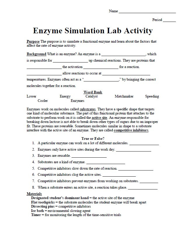 Factors that Affect the Rate of Enzyme Activity Lab using Toothpicks ...