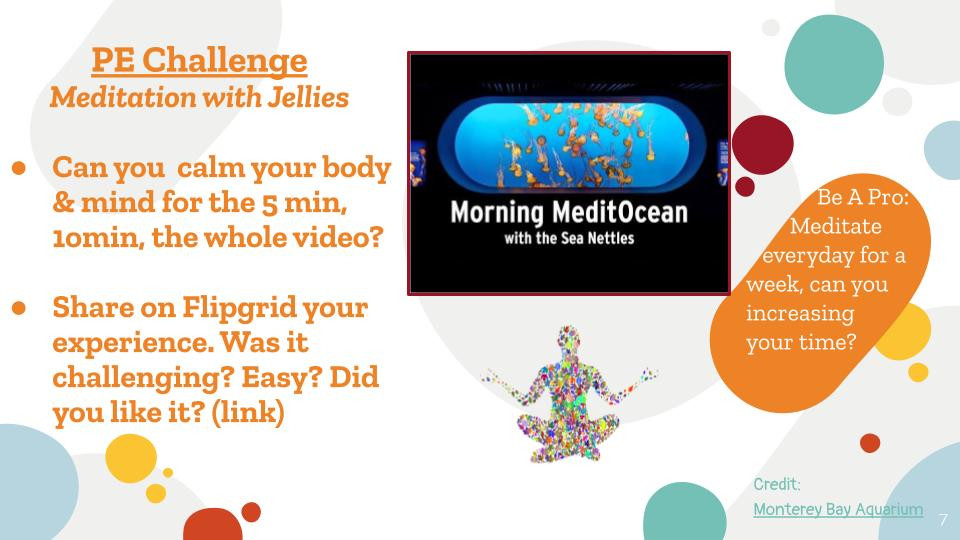 PE Challenges - Digital Learning - Amped Up Learning