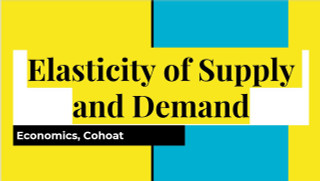 Supply and Demand Unit High School Economics - Amped Up Learning