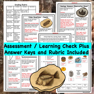 Fossils- Virtual Field Trip- Digital Version