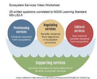 Ecosystem Services Video Worksheet
